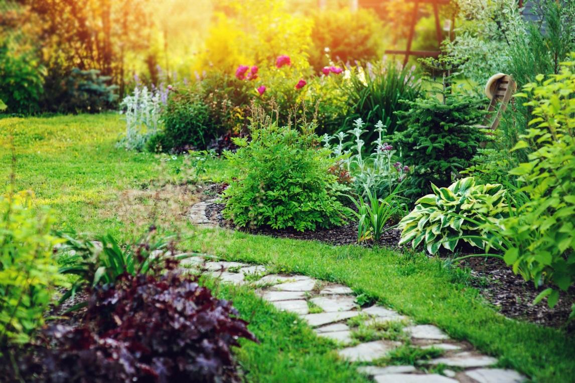Create a Beautiful Backyard Garden Design - The Dedicated House