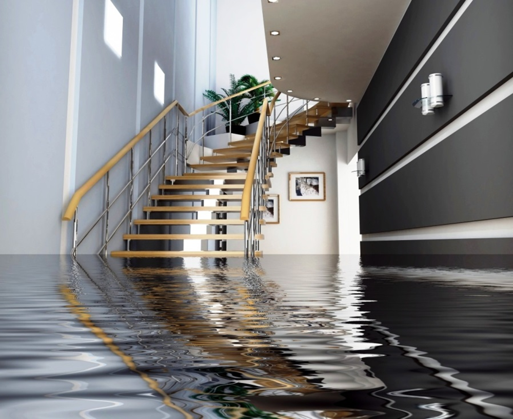 What You Need to Know About Water Damage - The Dedicated House