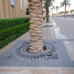 Positive Effects of Using Tree Grates - The Dedicated House