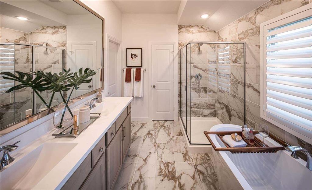 How to Get Rid of Mold in Your Home - The Dedicated House