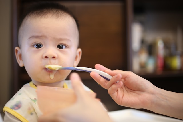 Differences Between Organic and Conventional Baby Food - The Dedicated ...